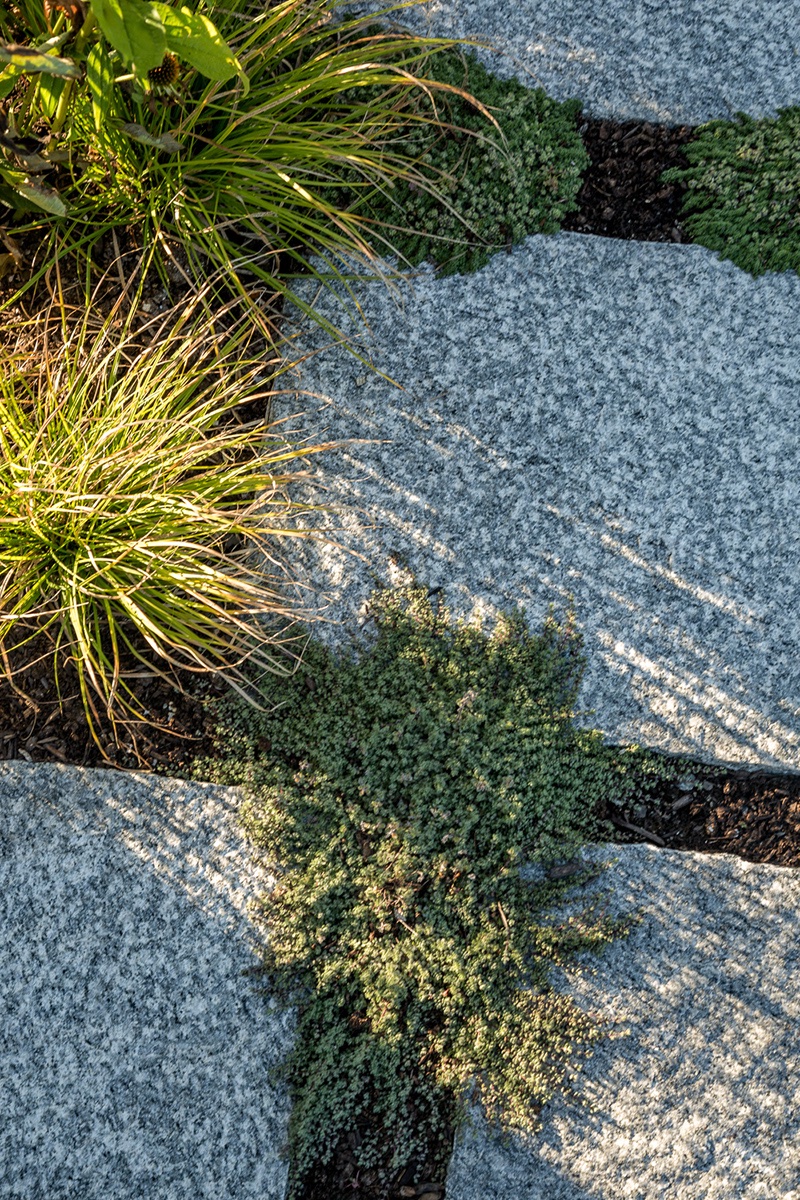 Landscape Architecture | Services | Knickerbocker Group