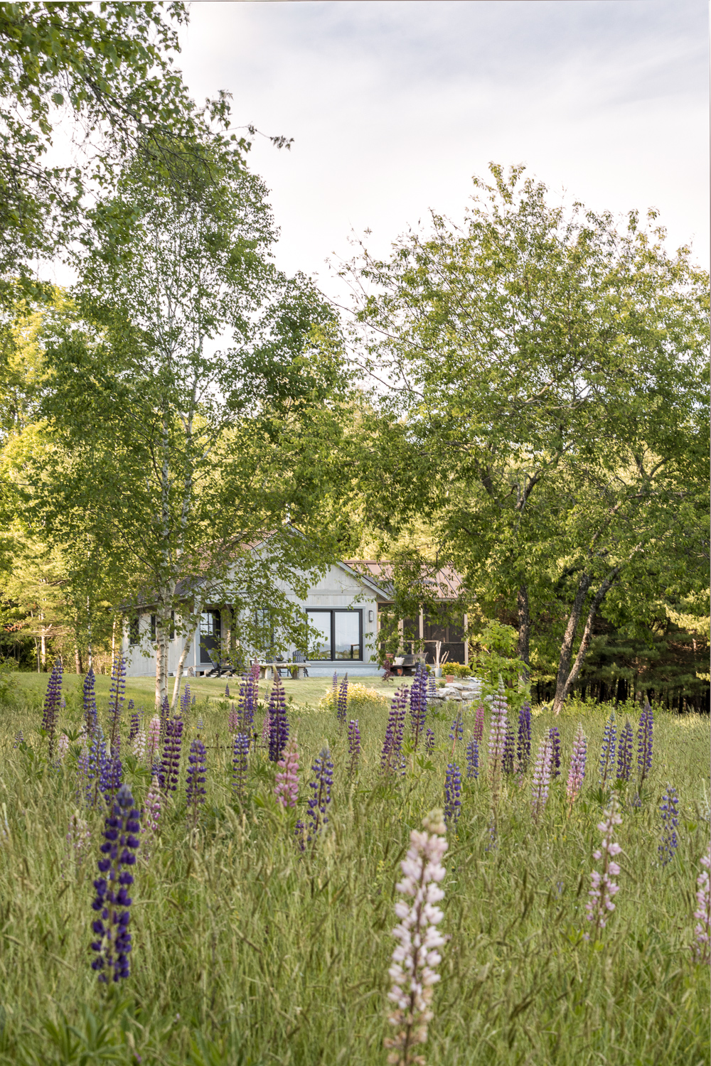 Aisling | Knickerbocker Group | Maine