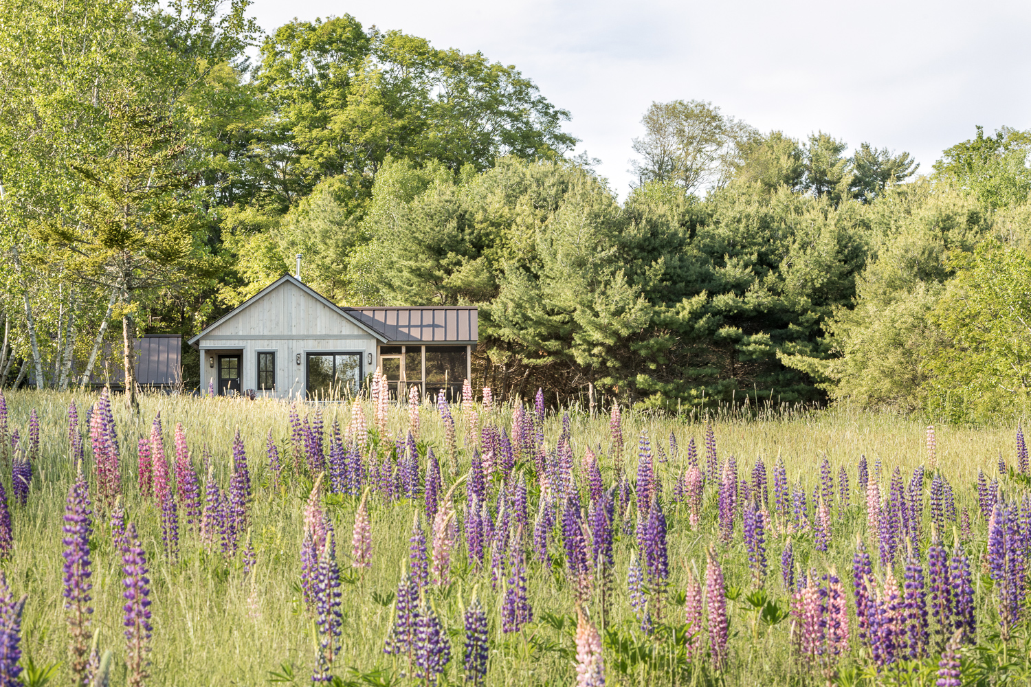 Aisling | Knickerbocker Group | Maine